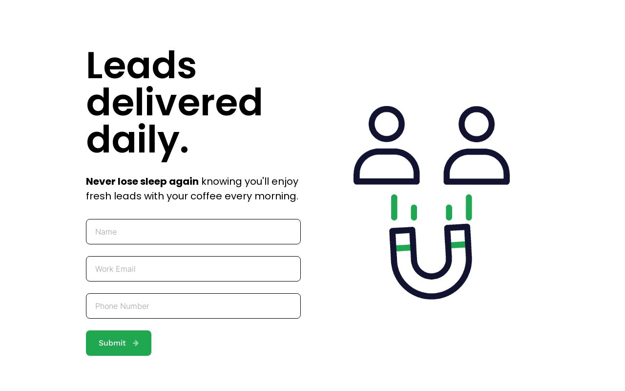 Leads Delivered Daily